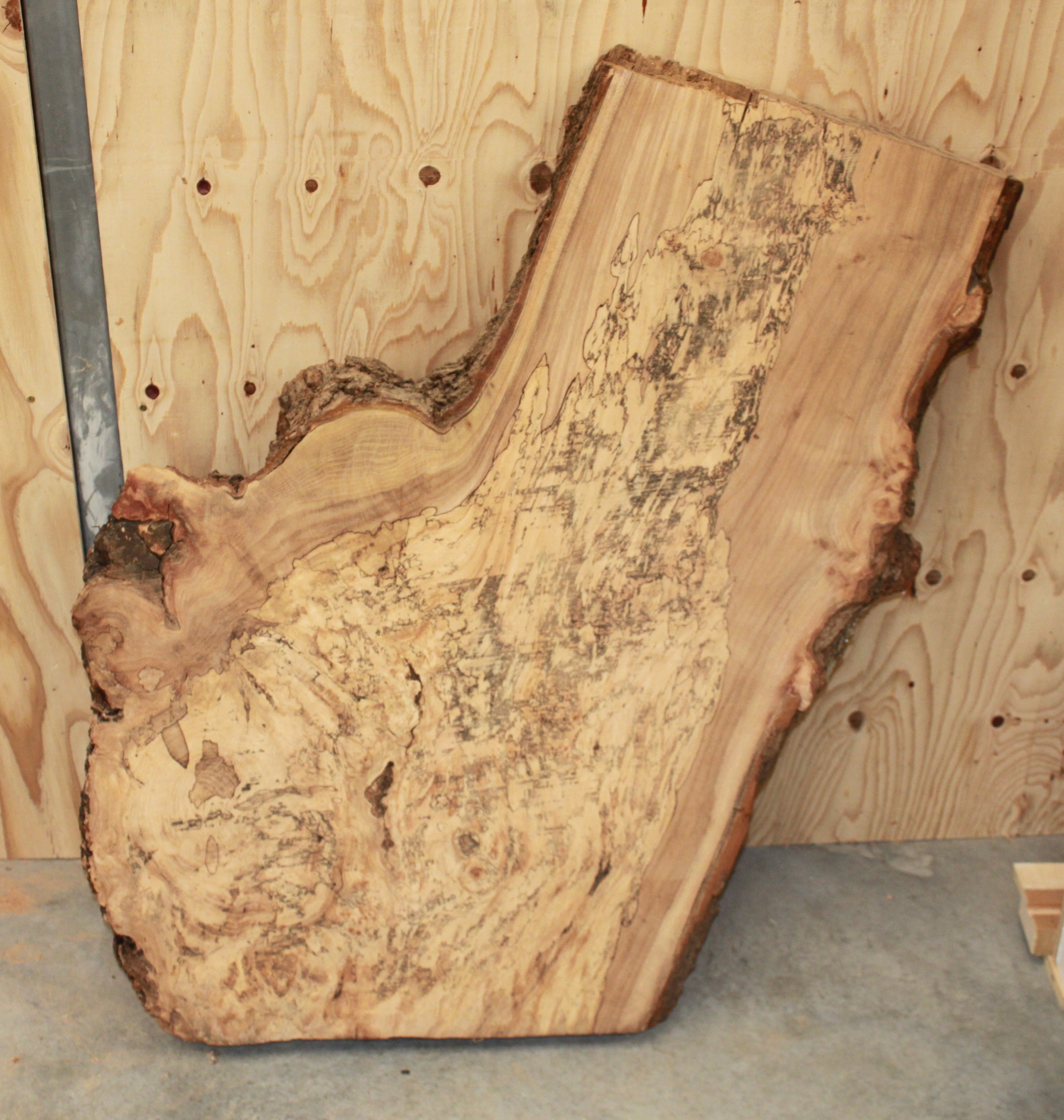 Wood Blank - Spalted Elm – Cooleywood